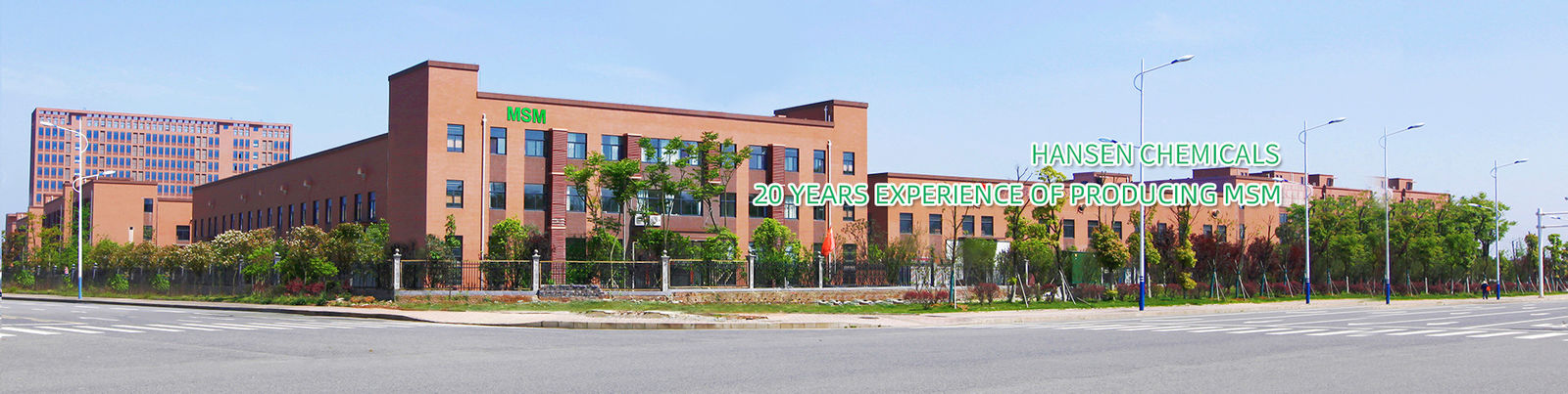 Quality MSM Powder & MSM Methylsulfonylmethane factory from China